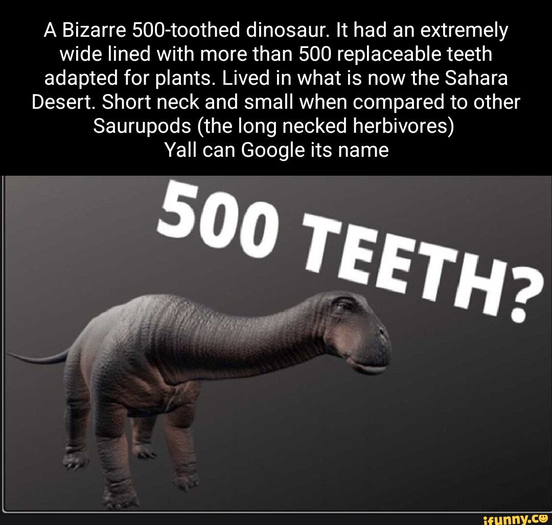 A Bizarre 500-toothed dinosaur. It had an extremely wide lined with ...
