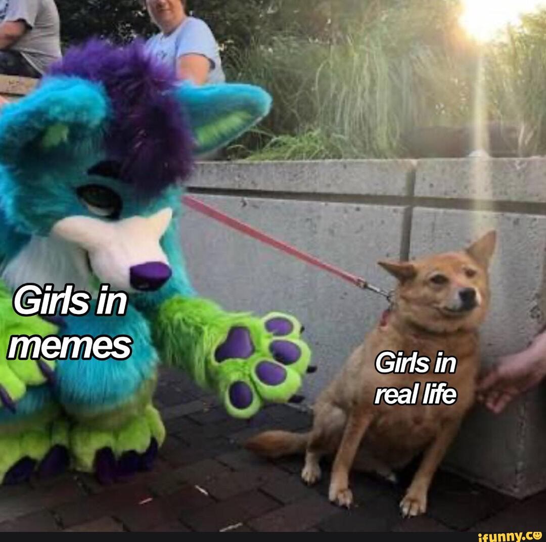 Girls in memes Girls in real life - iFunny