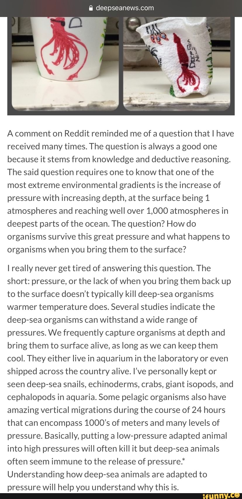 Gradients memes. Best Collection of funny Gradients pictures on iFunny