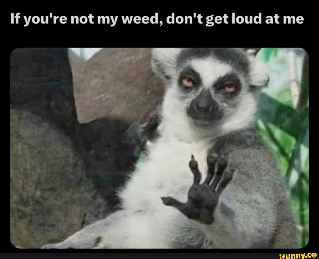 Loudhouse memes. Best Collection of funny Loudhouse pictures on iFunny