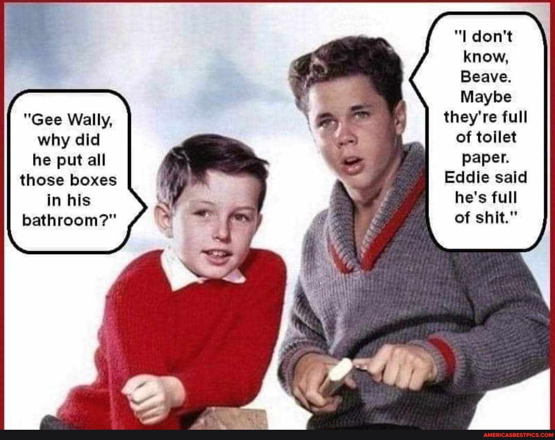 "Gee Wally, why did he put all those boxes in his bathroom?" "I don't ...