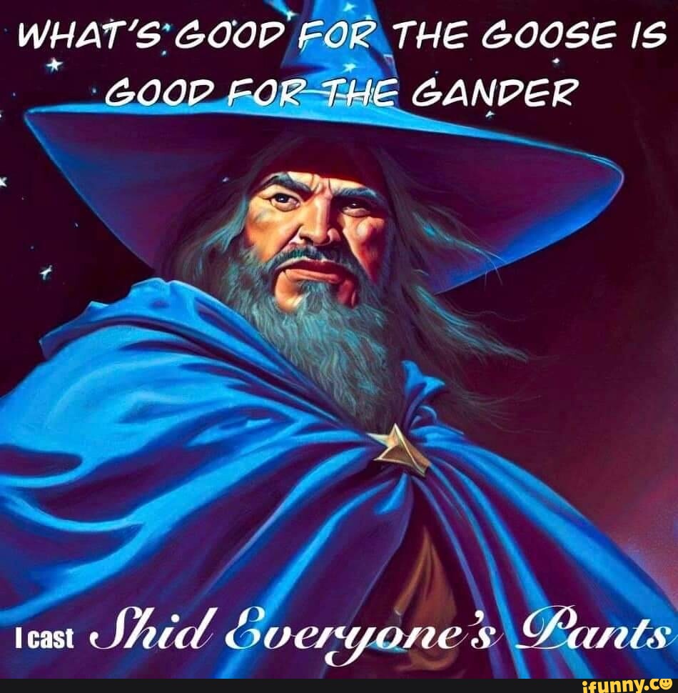 WHAT'S GOOP FOR THE GOOSE IS GOOP FOR THE GANDER teast Gvery Prrsets ...