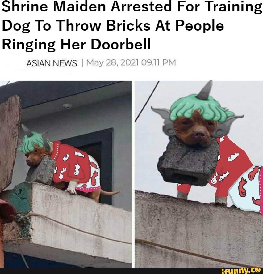 Shrine Maiden Arrested For Training Dog To Throw Bricks At People ...