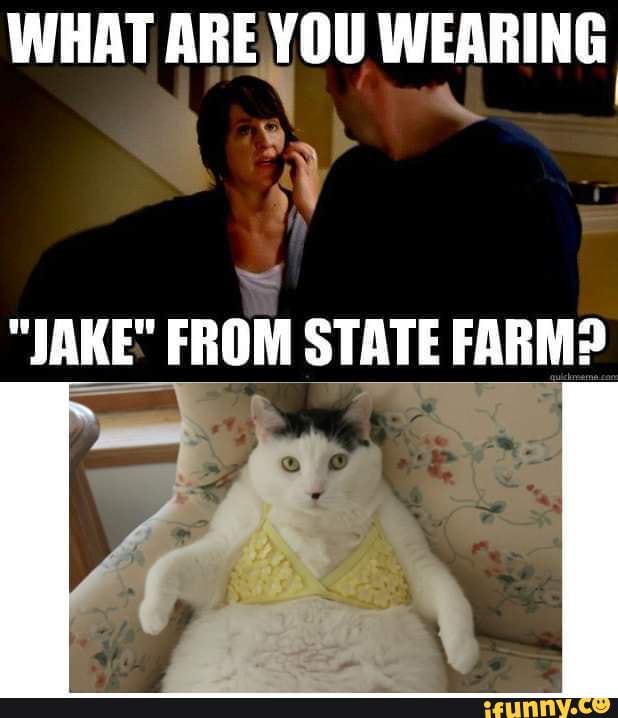 Jake State Farm Meme