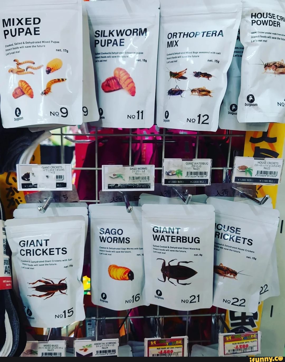 Waterbug memes. Best Collection of funny Waterbug pictures on iFunny