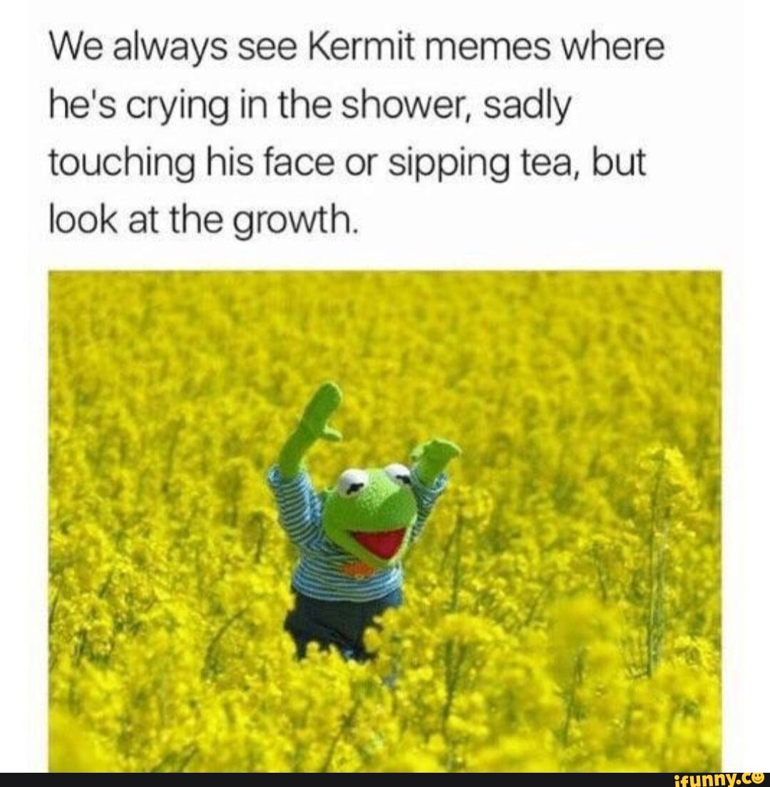 We always see Kermit memes where he's crying in the shower, sadly ...