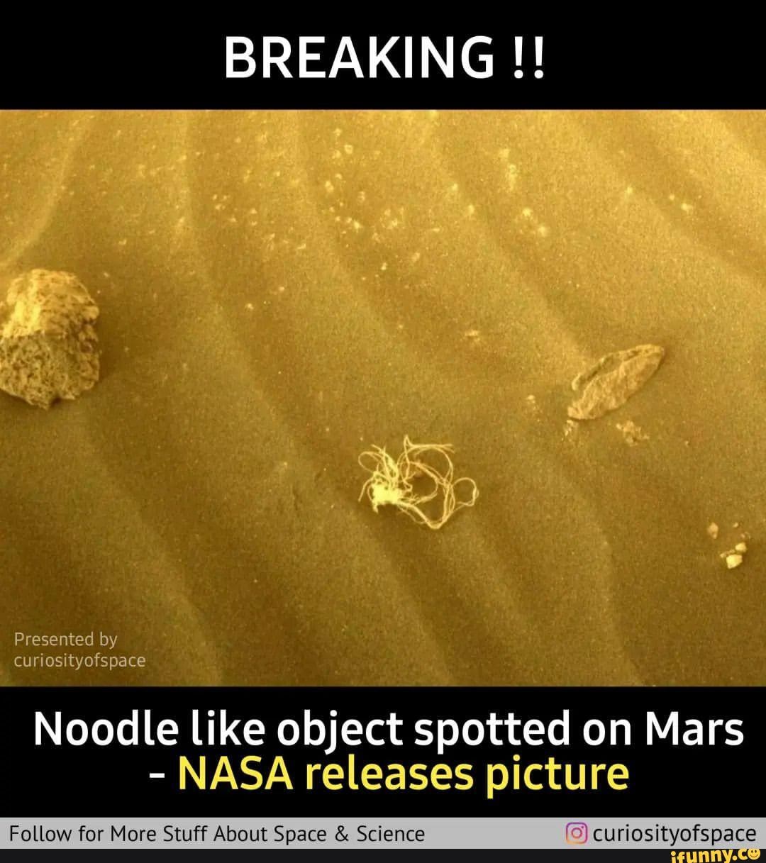 BREAKING Noodle like object spotted on Mars - NASA releases picture ...