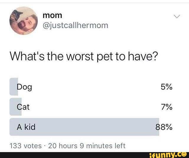 The first taxidermy walrus was much larger and smoother than a live ...