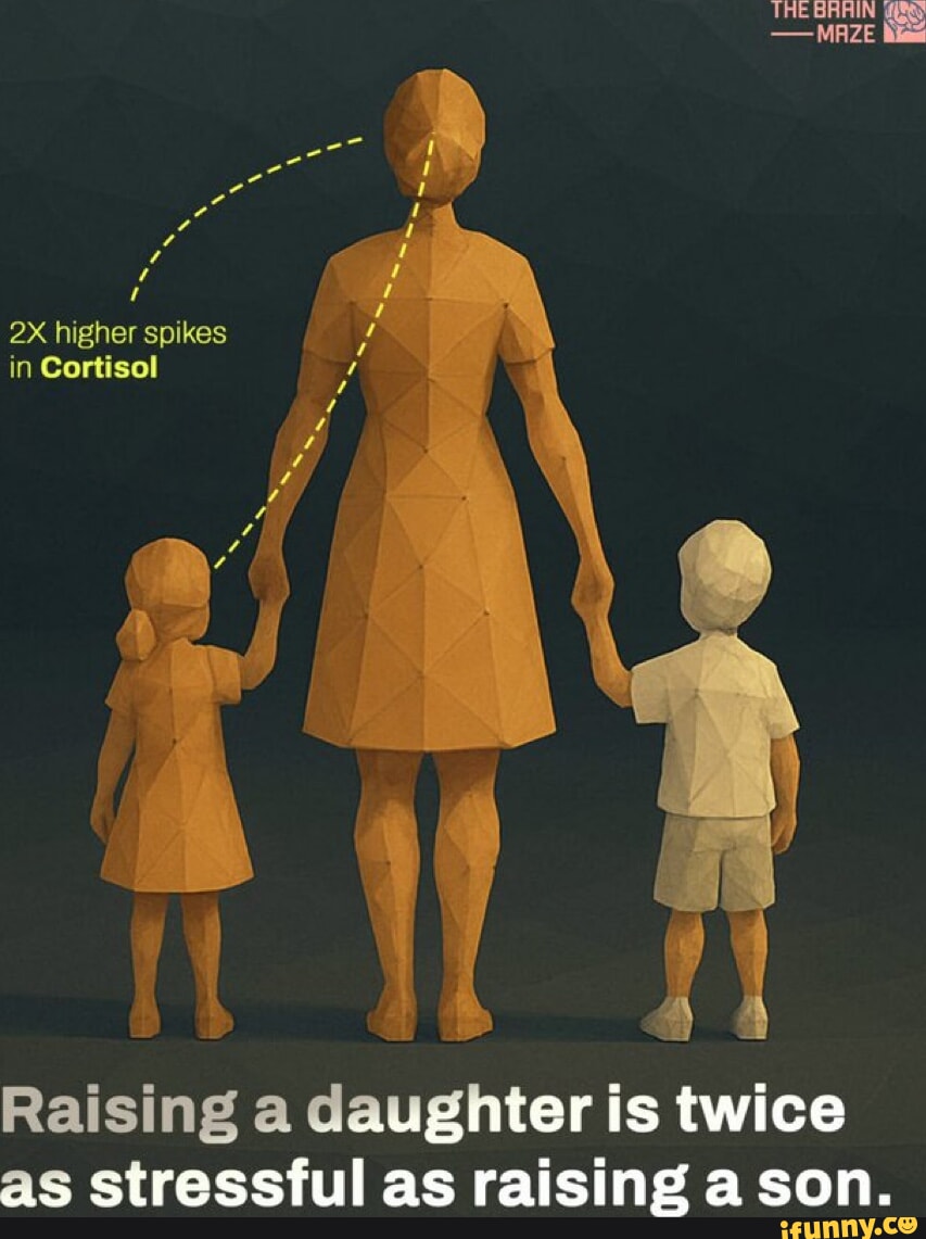 THE BARIN - -MAZE higher spikes in Cortisol Raising a daughter is twice ...