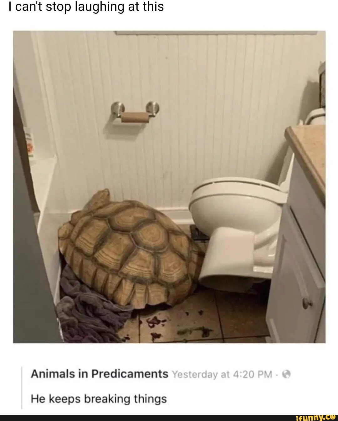 Predicaments memes. Best Collection of funny Predicaments pictures on ...