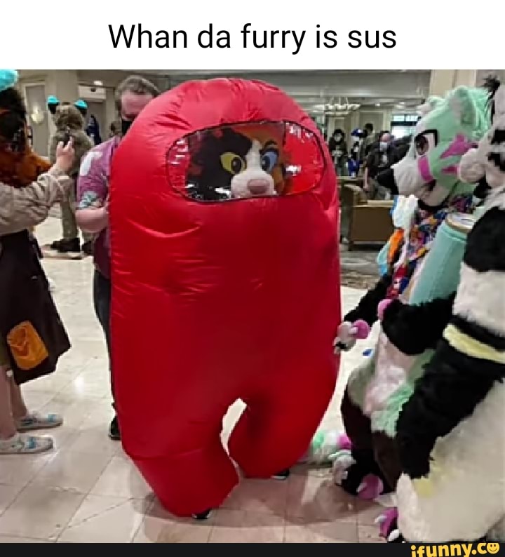 Whan da furry is sus - iFunny