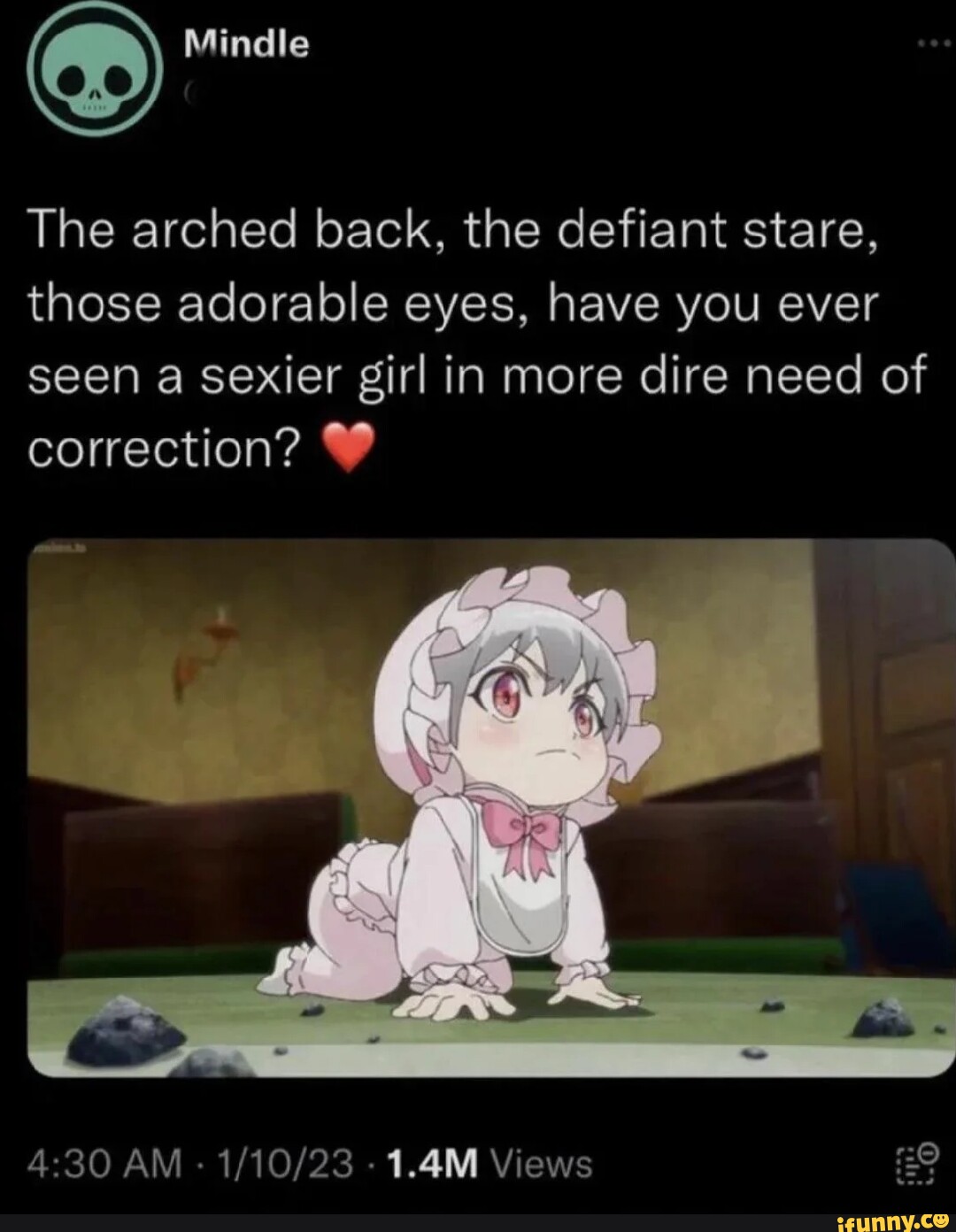 The arched back, the defiant stare, those adorable eyes, nave you ever ...