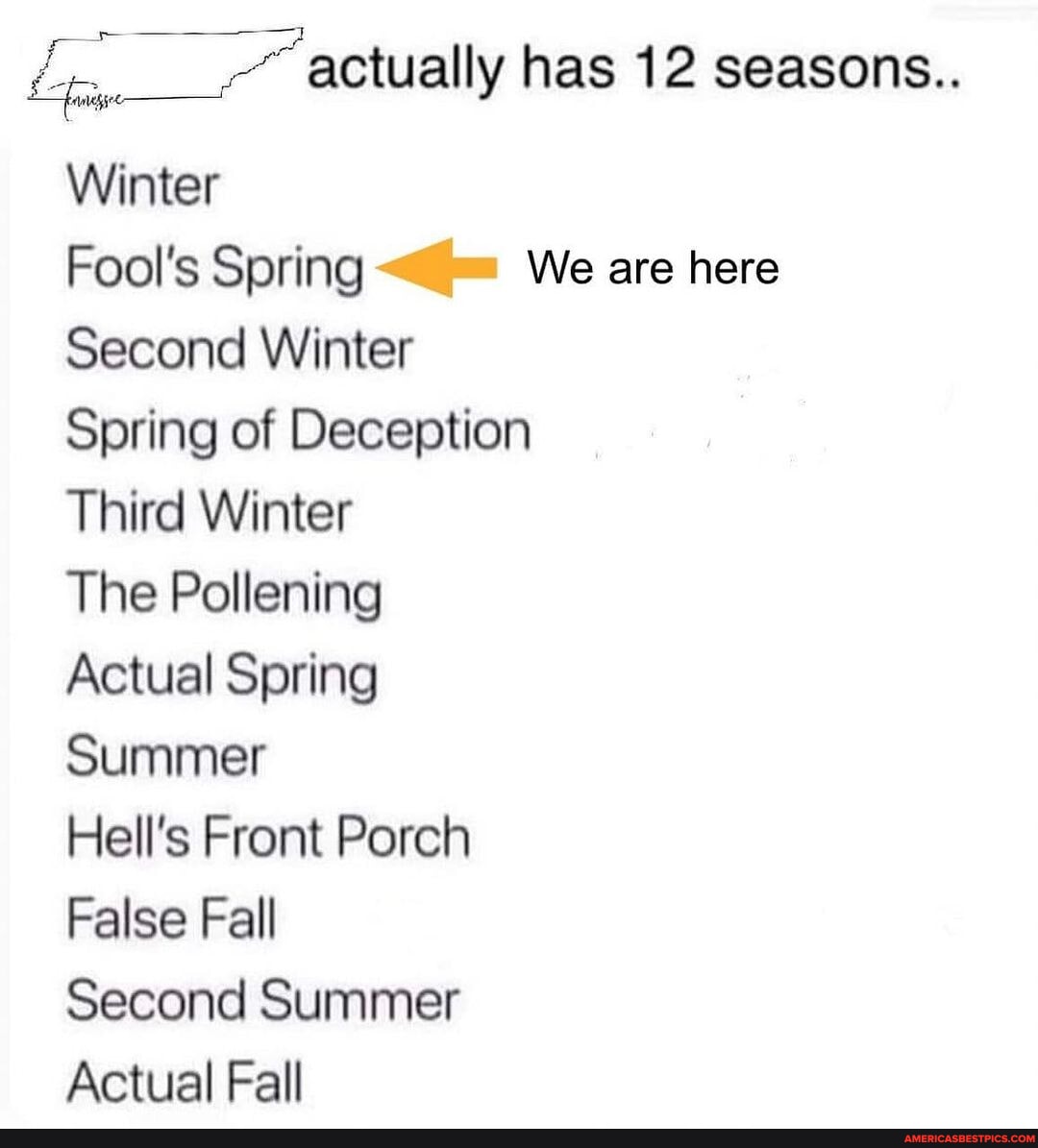 The cicadas are coming! - actually has 12 seasons.. Winter Fool's ...