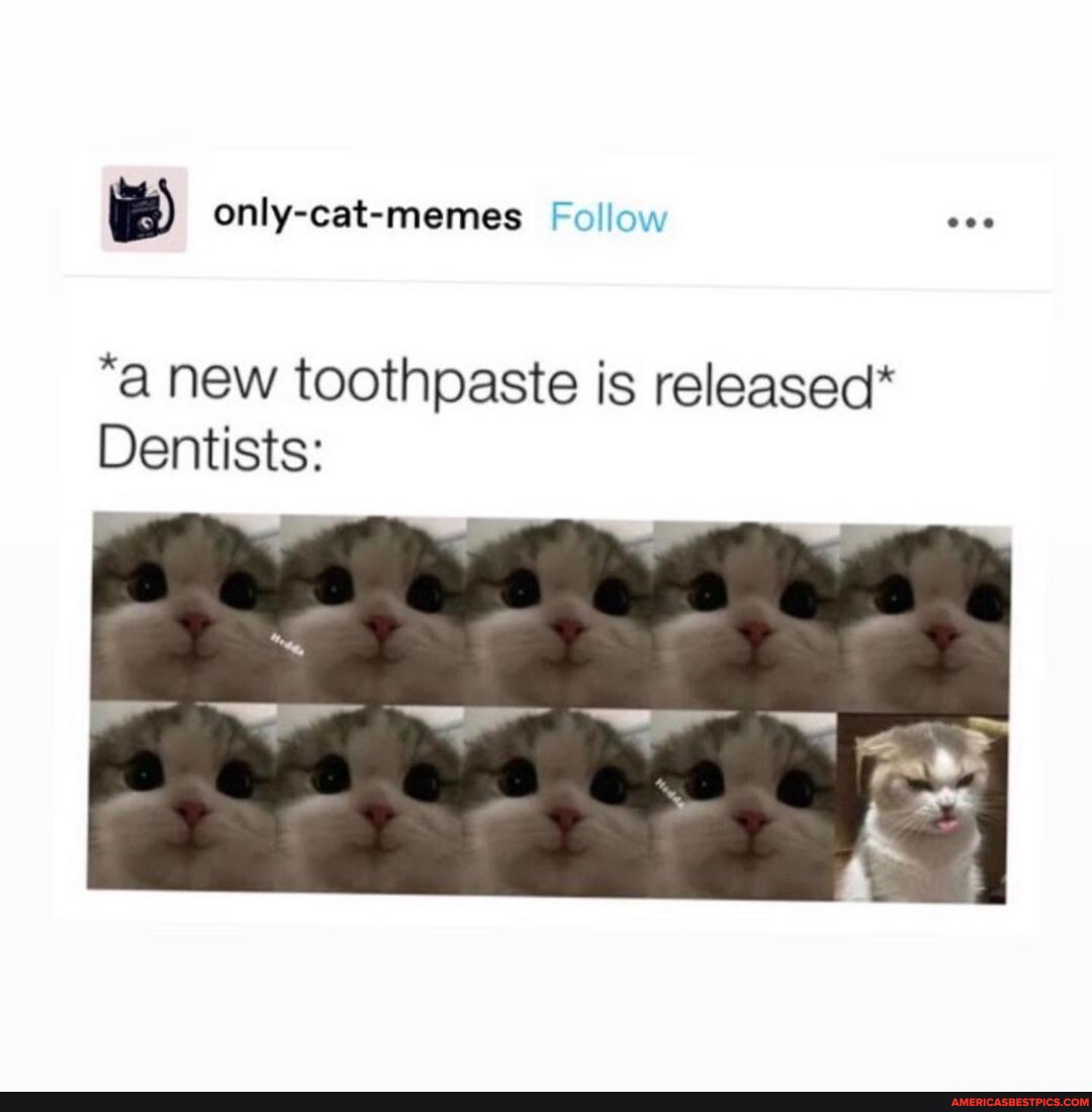 EREN YEAGA - I only-cat-memes Follow "a new toothpaste is released ...