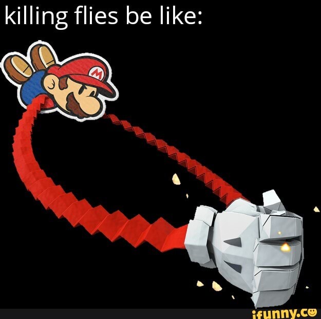 Killing flies be like: - iFunny