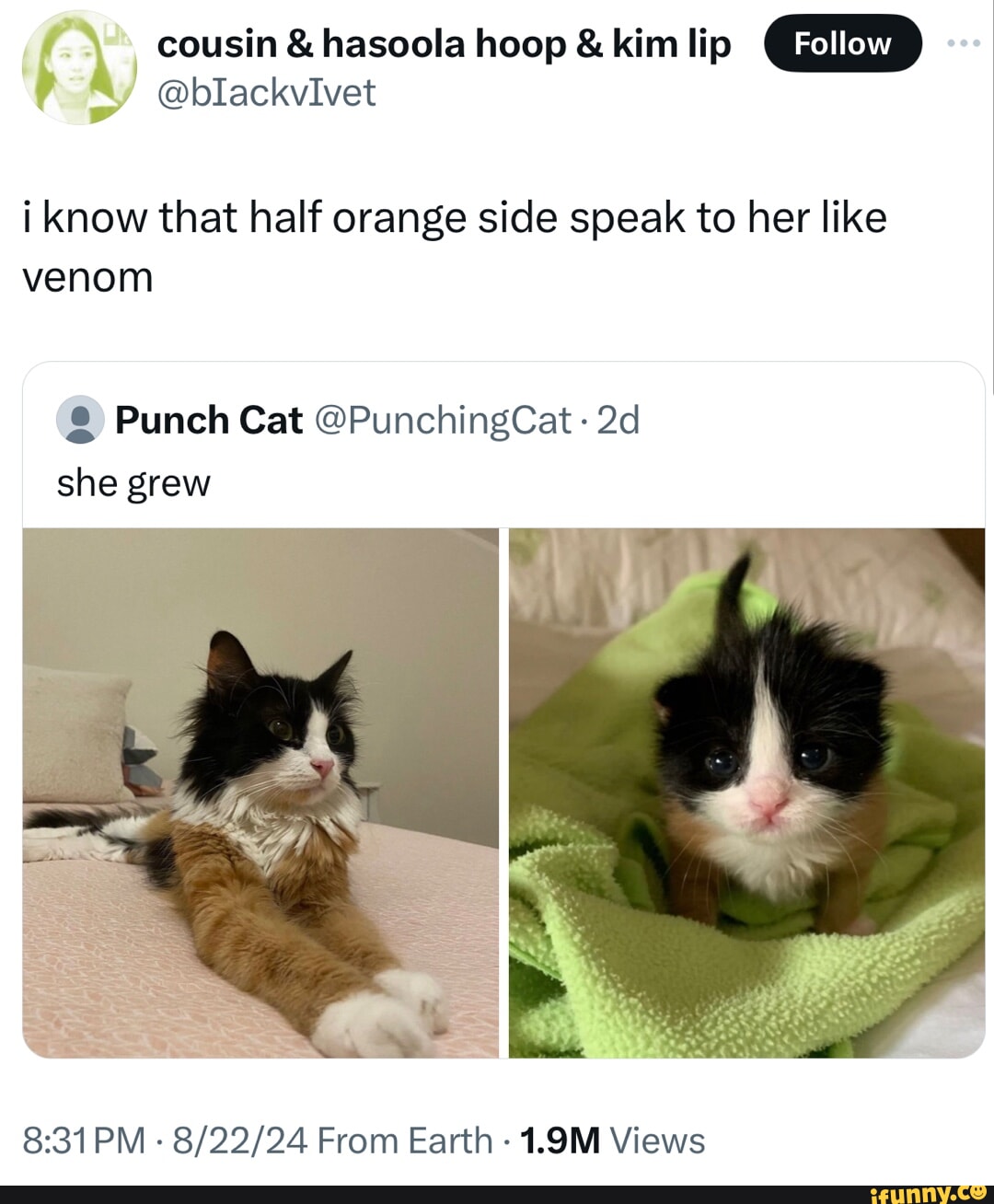 _ cousin & hasoola hoop & kim lip Follow i know that half orange side ...