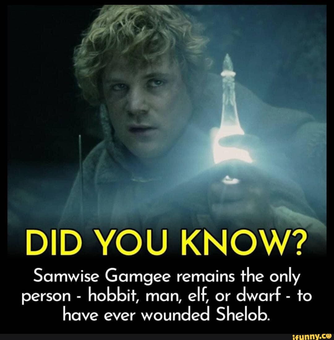 WA DID YOU KNOW? Samwise Gamgee remains the only person - hobbit, man ...