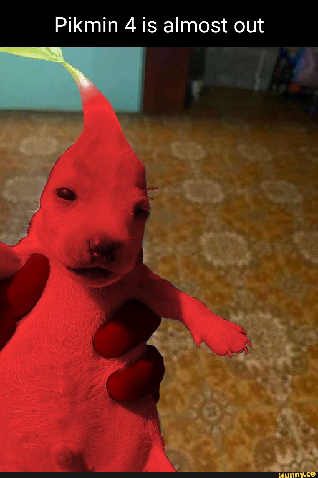 Video memes ZfskGYdcA by fin999 - iFunny