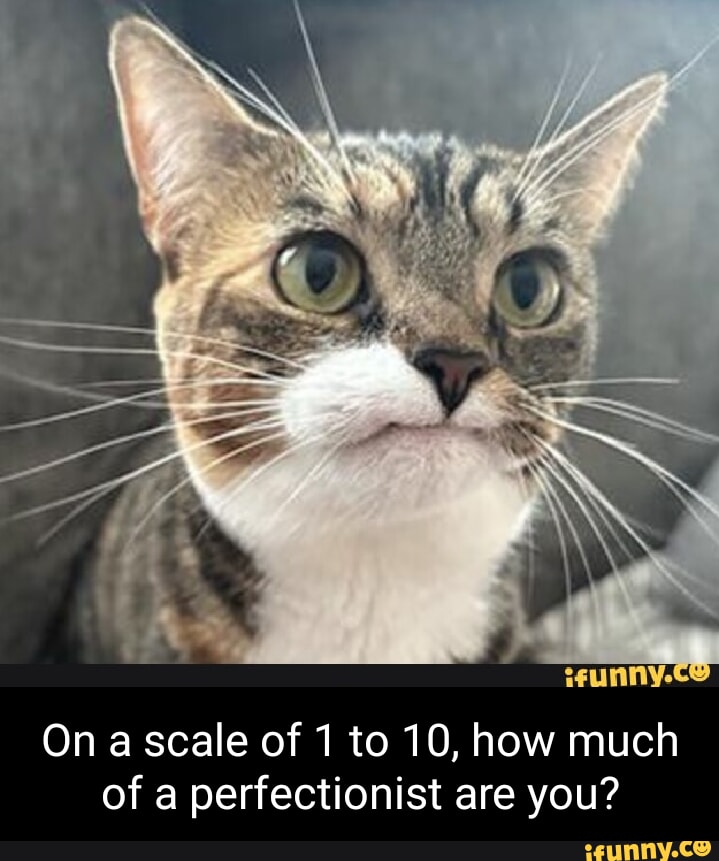 Perfectionist memes. Best Collection of funny Perfectionist pictures on ...