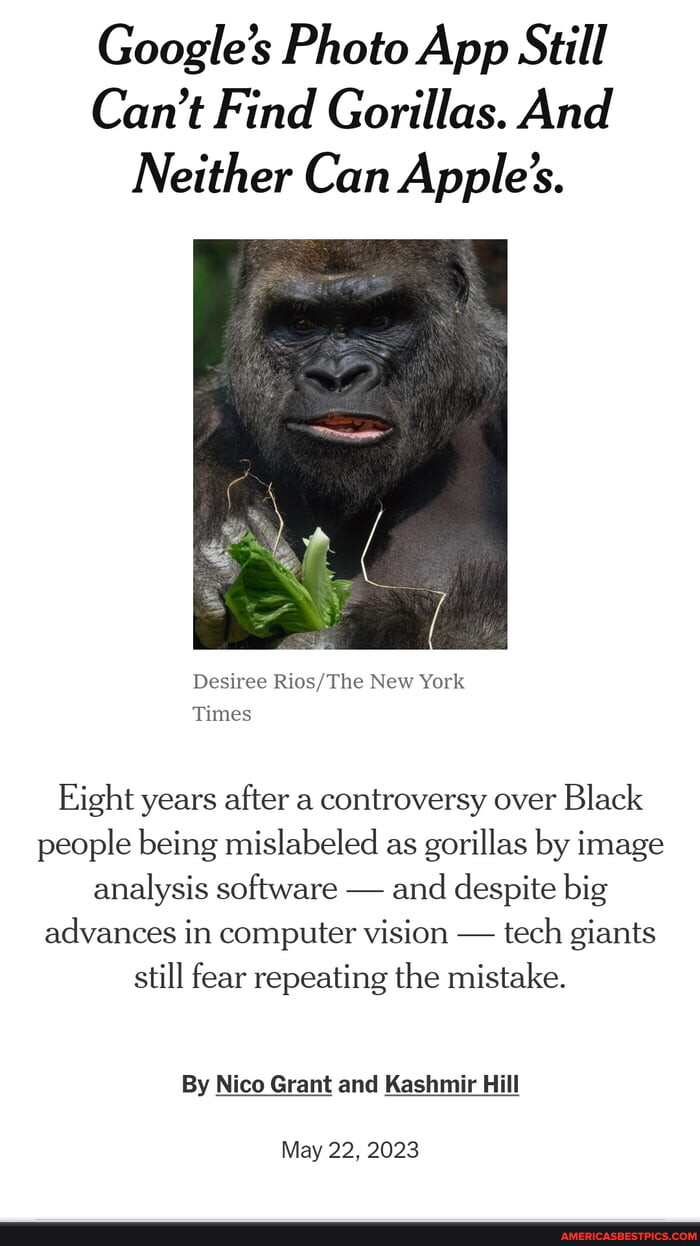 Google's Photo App Still Can't Find Gorillas. And Neither Can Apple's ...