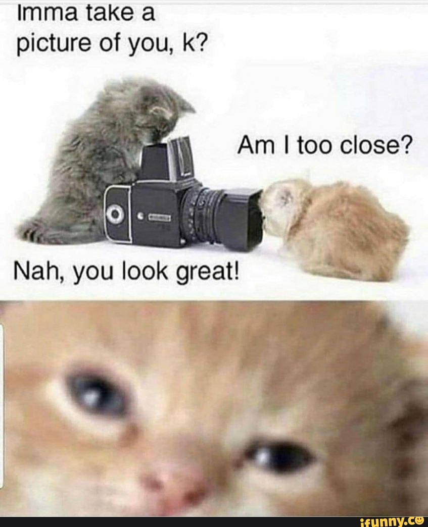 Imma take a picture of you, k? Am I too close? Nah, you look great ...