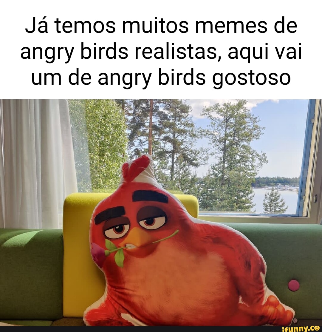 Já temos muitos memes de angry birds realistas, aqui vai um de angry ...