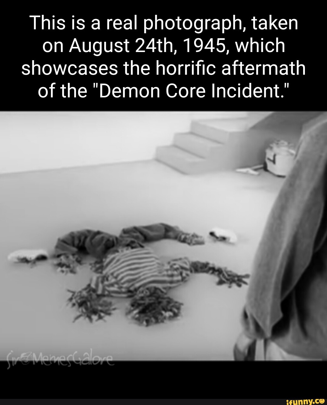 SWITCHING JOBS FROM SERVICE DOG TO DRUG SNIFFING DOG IS THE BEST ...