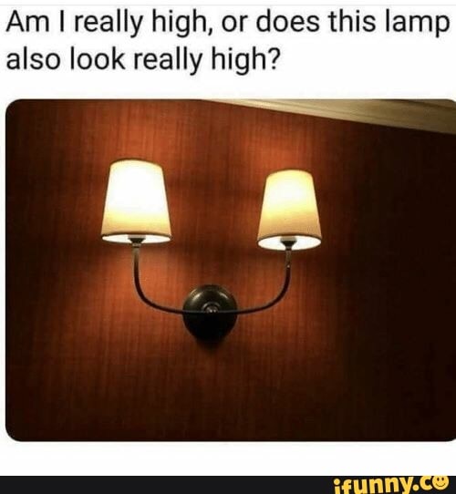 Doilookhigh memes. Best Collection of funny Doilookhigh pictures on iFunny