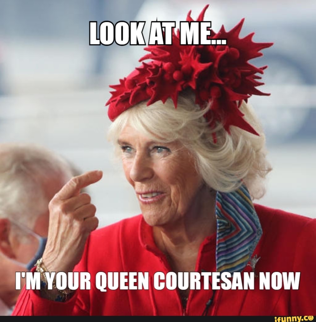 Courtesan memes. Best Collection of funny Courtesan pictures on iFunny