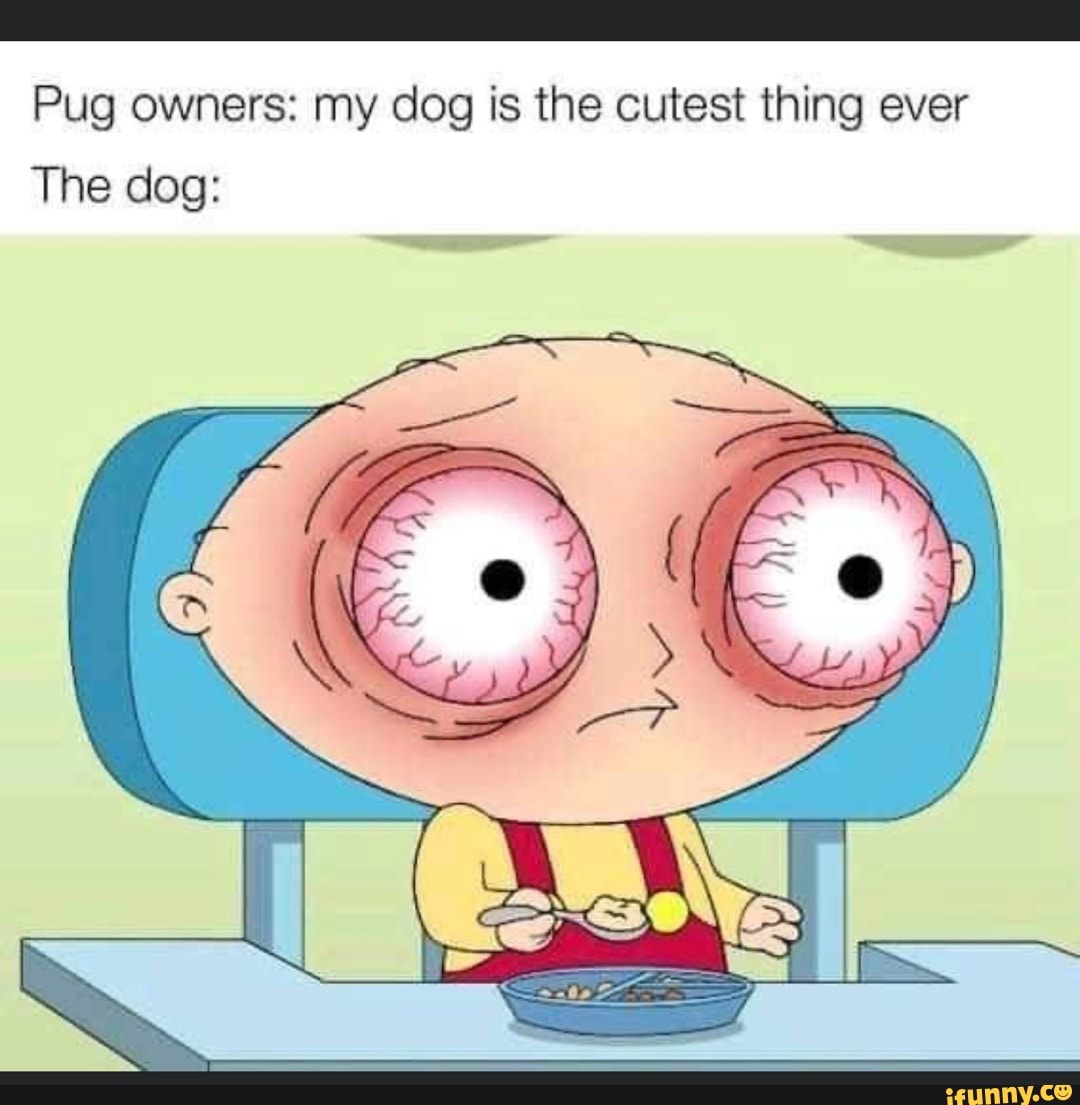 The 12 seasons of Colorado Winter Fools Spring We are here 2nd Winter ...