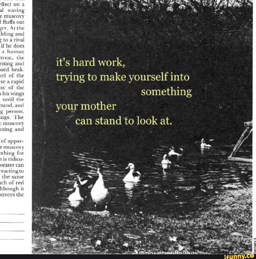 Muscovy memes. Best Collection of funny Muscovy pictures on iFunny