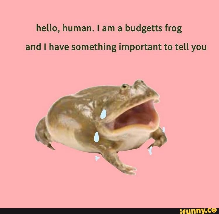 Budgettsfrog memes. Best Collection of funny Budgettsfrog pictures on ...