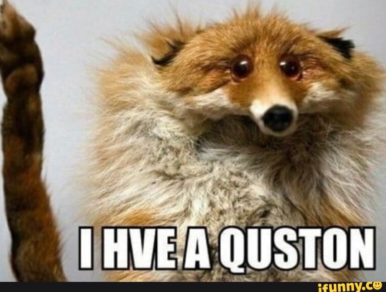 Questioning memes. Best Collection of funny Questioning pictures on iFunny