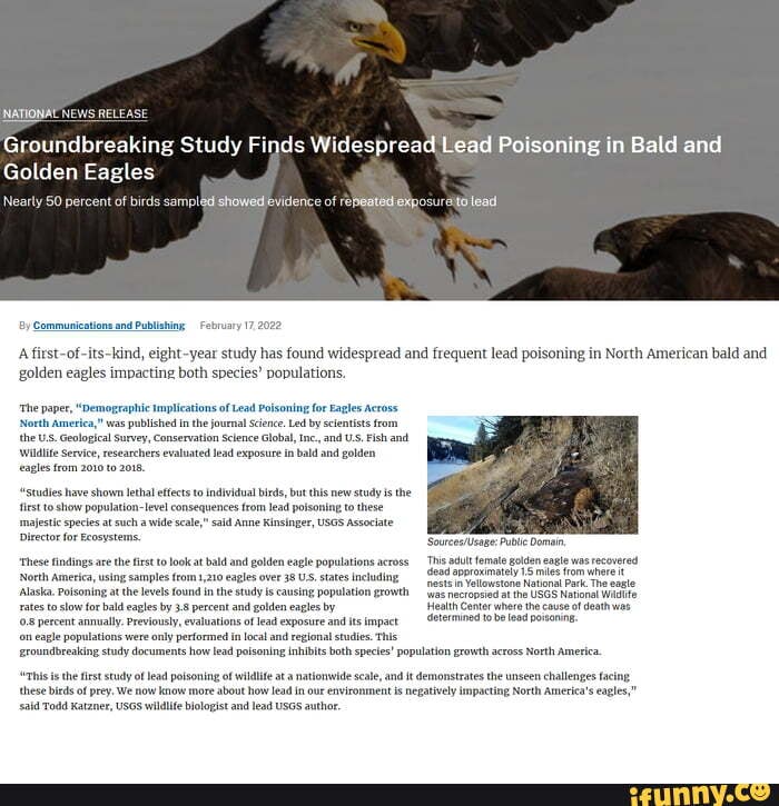 Oh_and_eagles memes. Best Collection of funny Oh_and_eagles pictures on ...