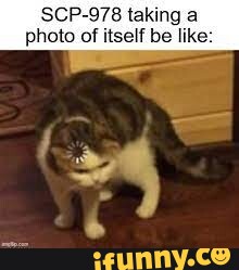 SCP-978 taking a photo of ttself be like *sunny.ce - iFunny