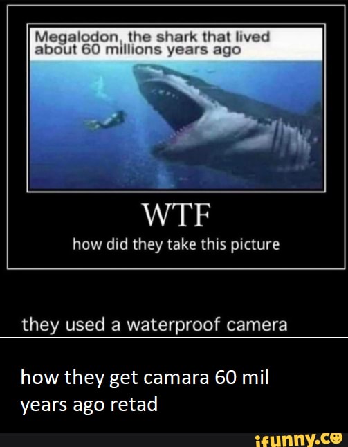 Megalodon, the shark that lived about 60 millions years ago how did ...