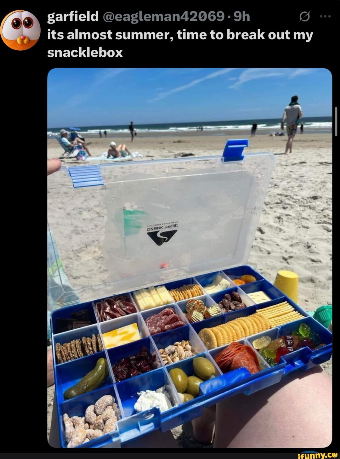 To break out my time ts almost summer, garfield snacklebox - iFunny