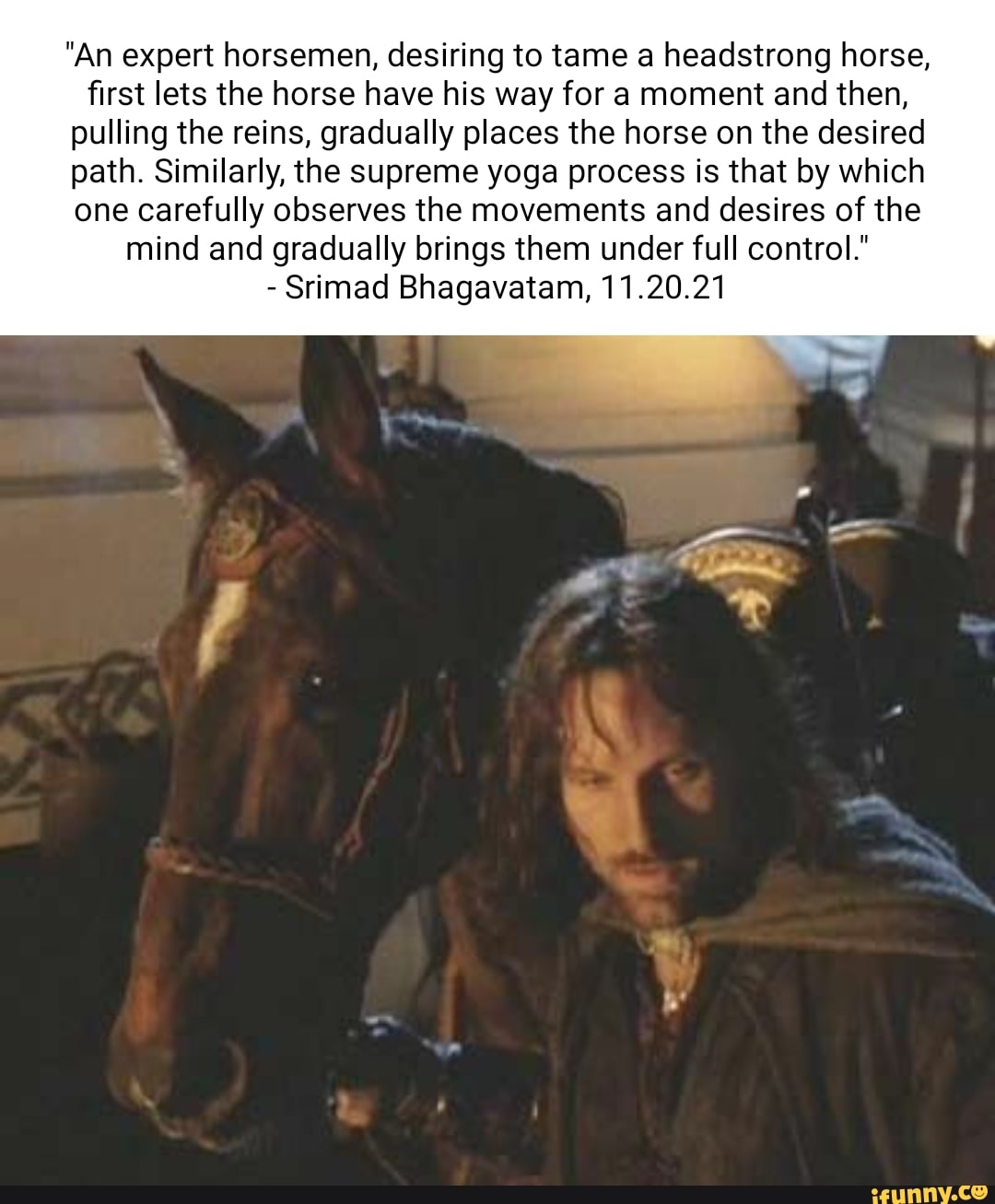 Reins memes. Best Collection of funny Reins pictures on iFunny