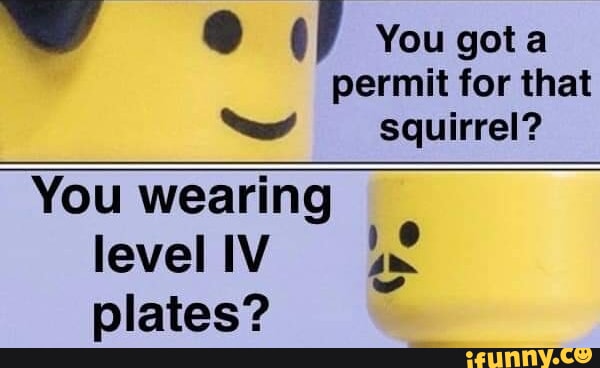 You permit for that squirrel? You wearing level IV ww plates? - iFunny