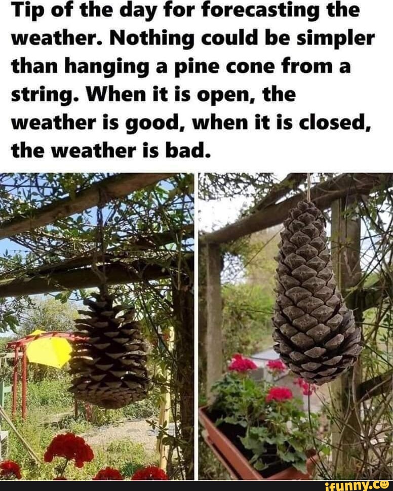 Forecasting memes. Best Collection of funny Forecasting pictures on iFunny