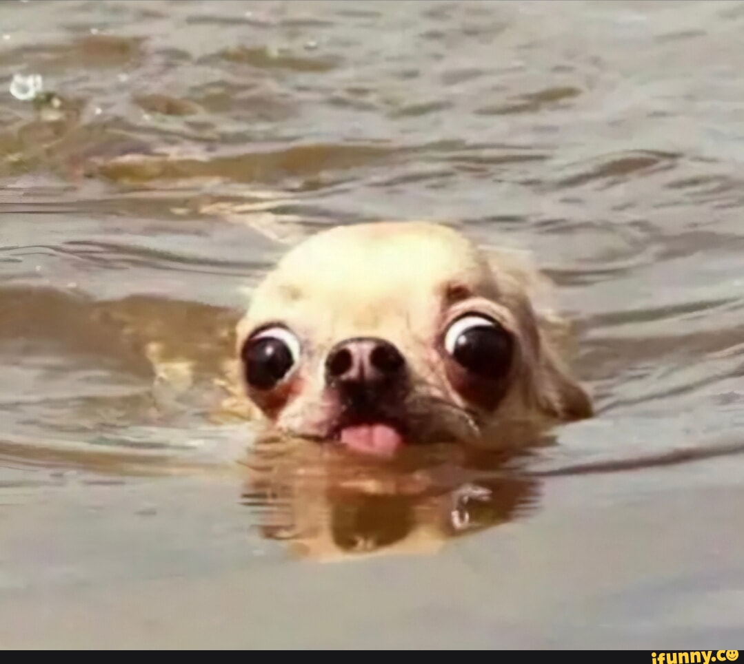 Drowning memes. Best Collection of funny Drowning pictures on iFunny
