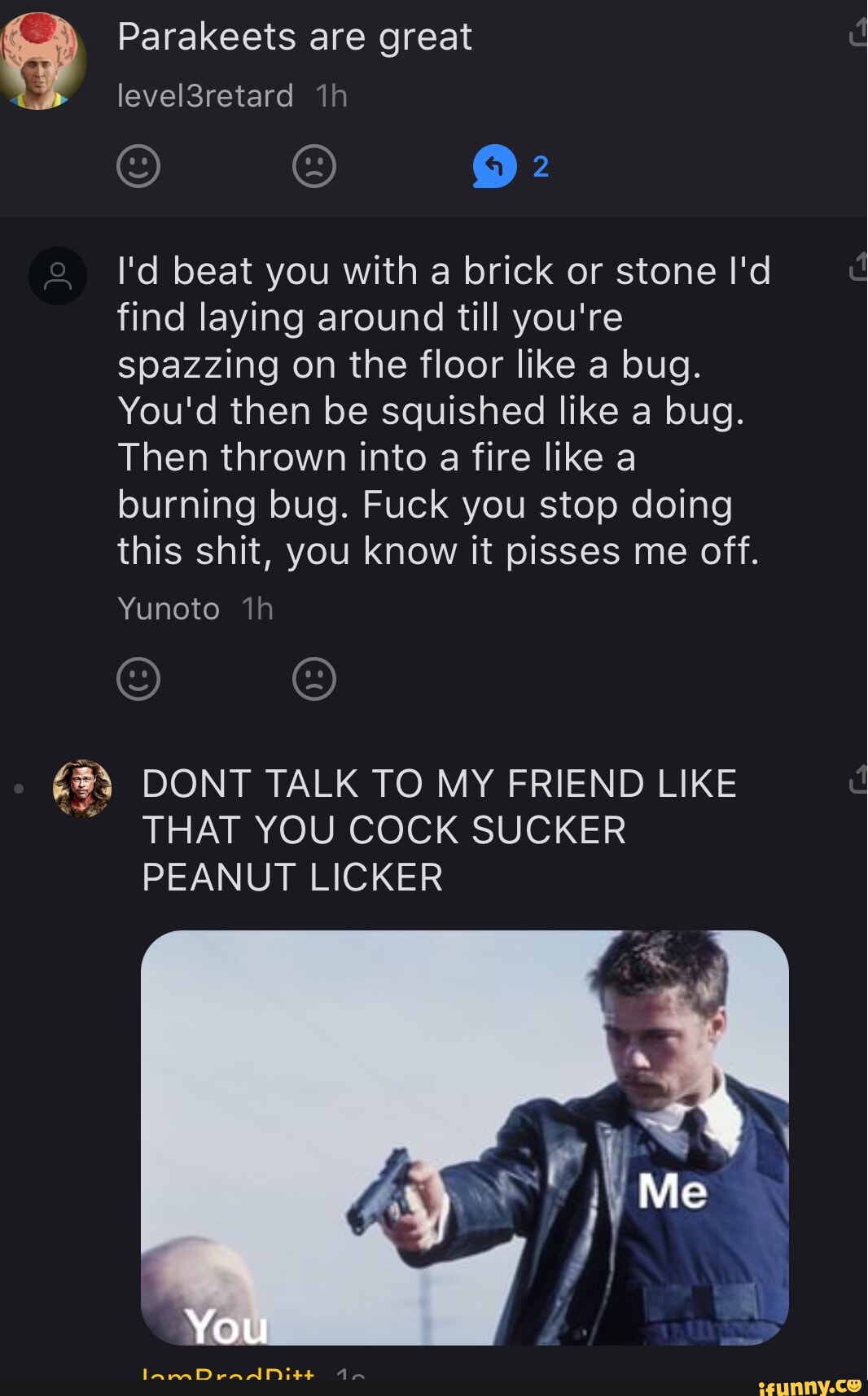 Parakeets memes. Best Collection of funny Parakeets pictures on iFunny