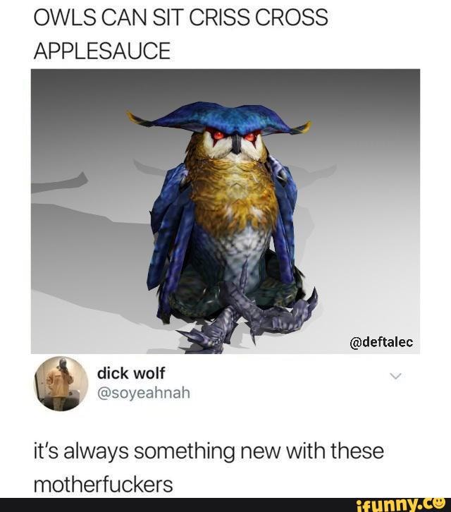 OWLS CAN SIT CRISS CROSS APPLESAUCE @deftalec dick wolf @soyeahnah it's always something new ...