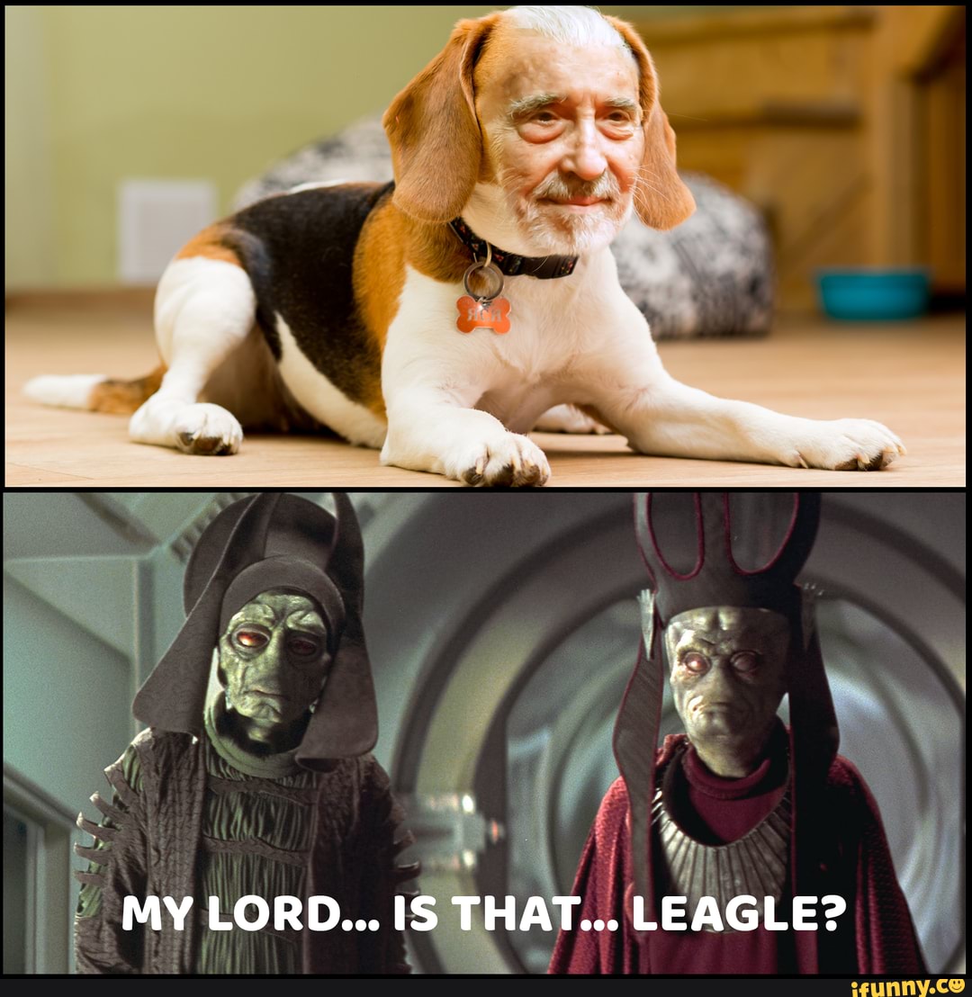 Leagle memes. Best Collection of funny Leagle pictures on iFunny