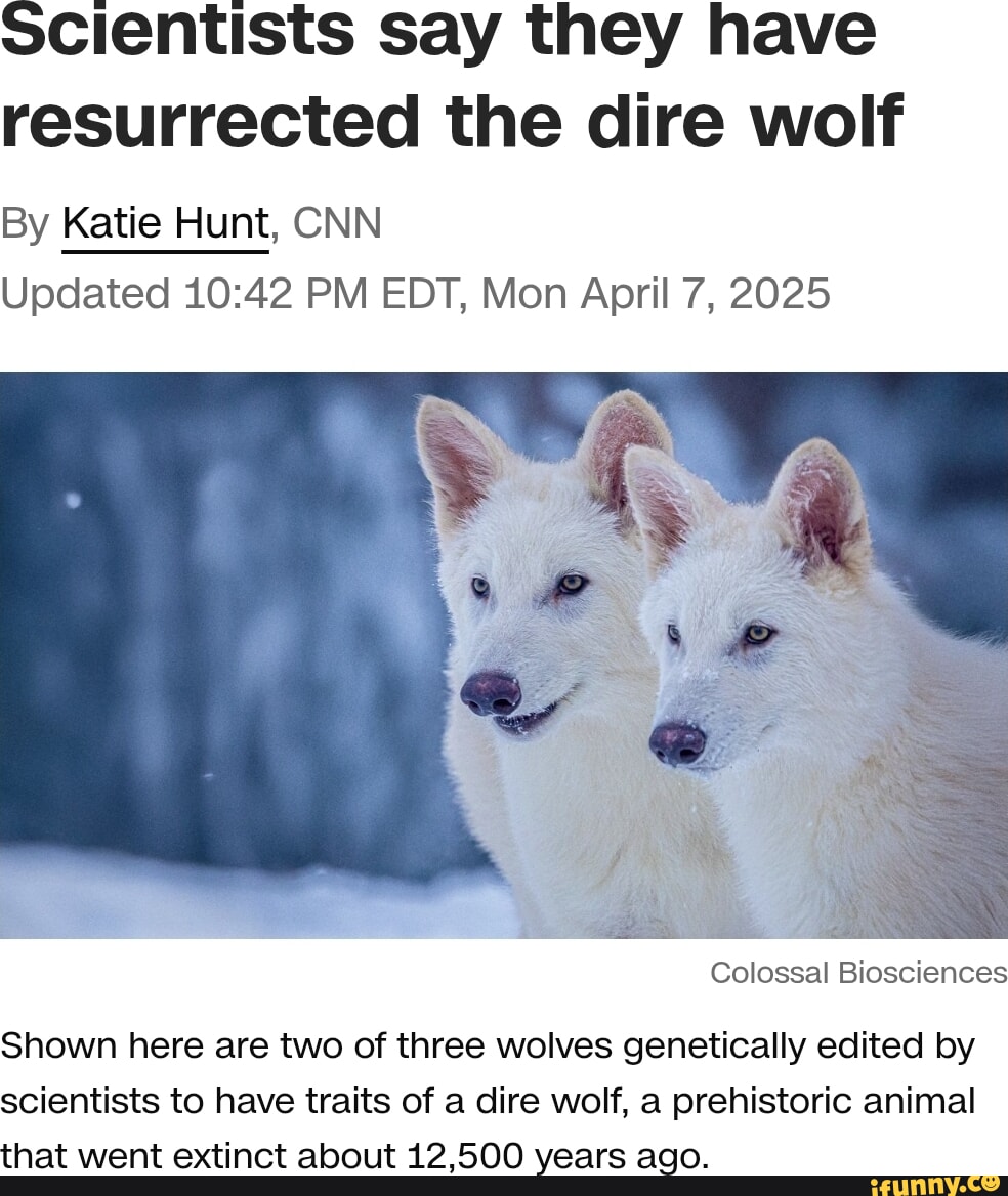 Scientists say they have resurrected the dire wolf By Katie Hunt, CNN Updated PM EDT, Mon April ...