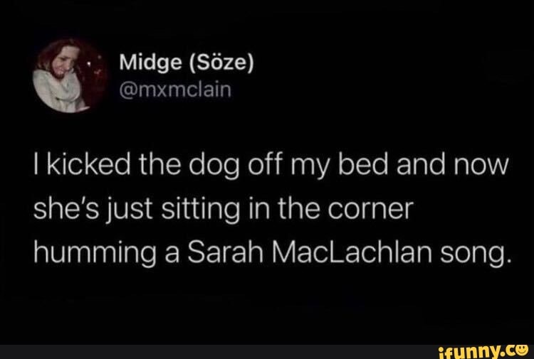 Sara Mclaughlin Meme
