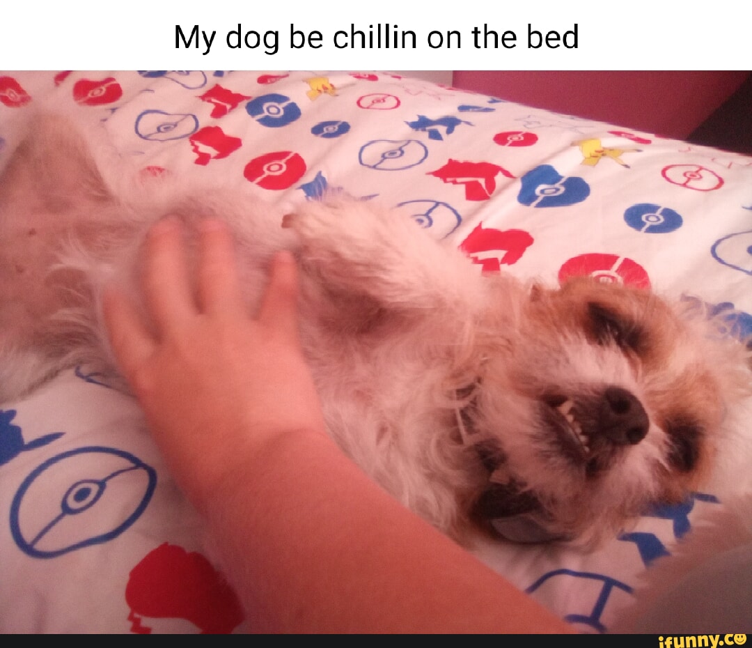 Pro memes. Best Collection of funny Pro pictures on iFunny