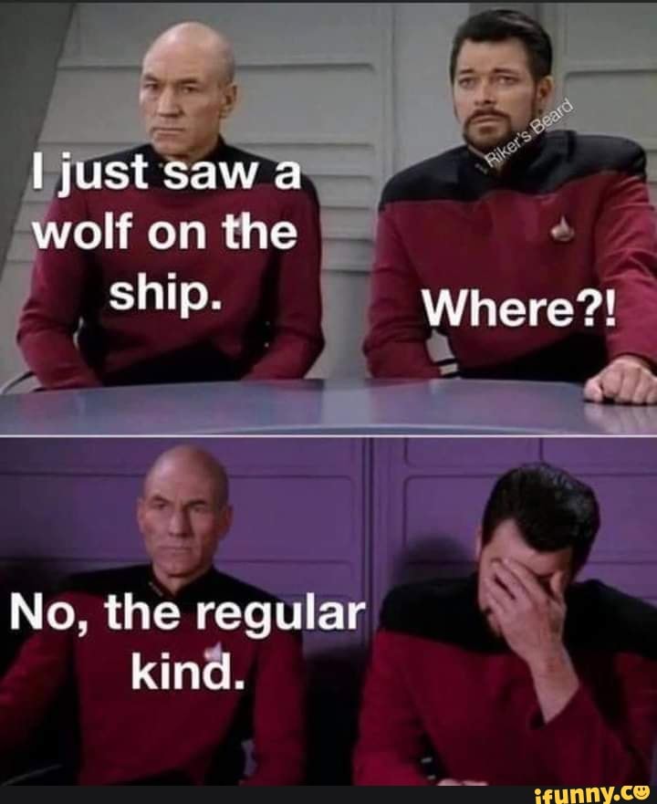 Just saw wolf on the Ship. Where?! No, the regular kind. - iFunny