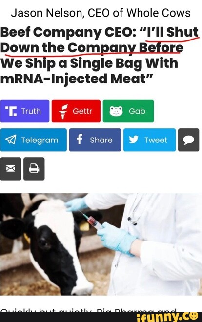 Jason Nelson, CEO of Whole Cows Beef Company CEO: "I'll Sh Down the ...