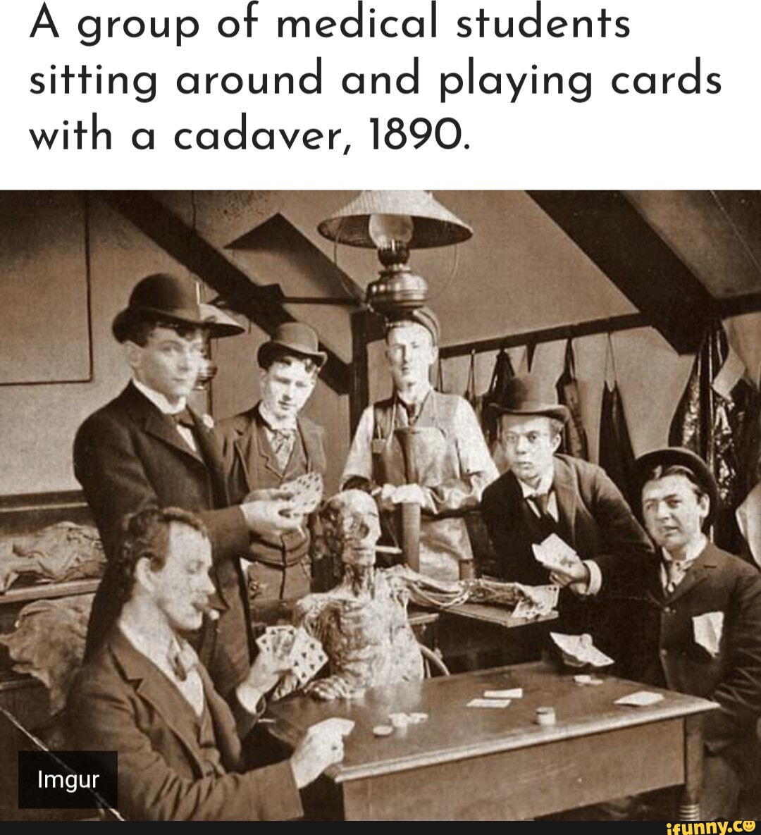 Cadaver memes. Best Collection of funny Cadaver pictures on iFunny